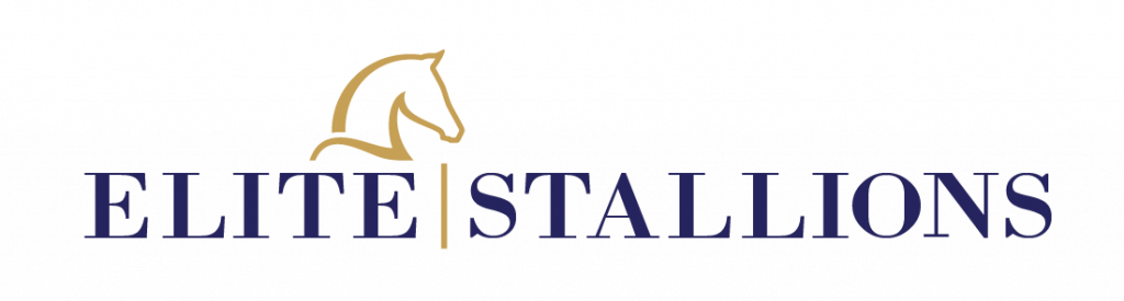 Elite Stallions - Homepage